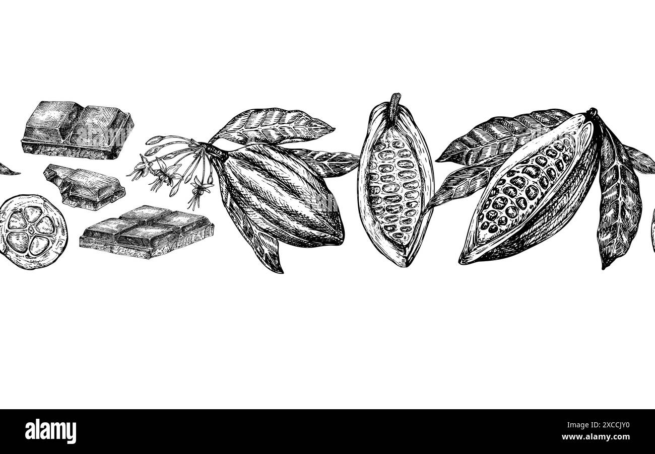 Seamless banner with cocoa fruit and chocolate graphic illustration ...