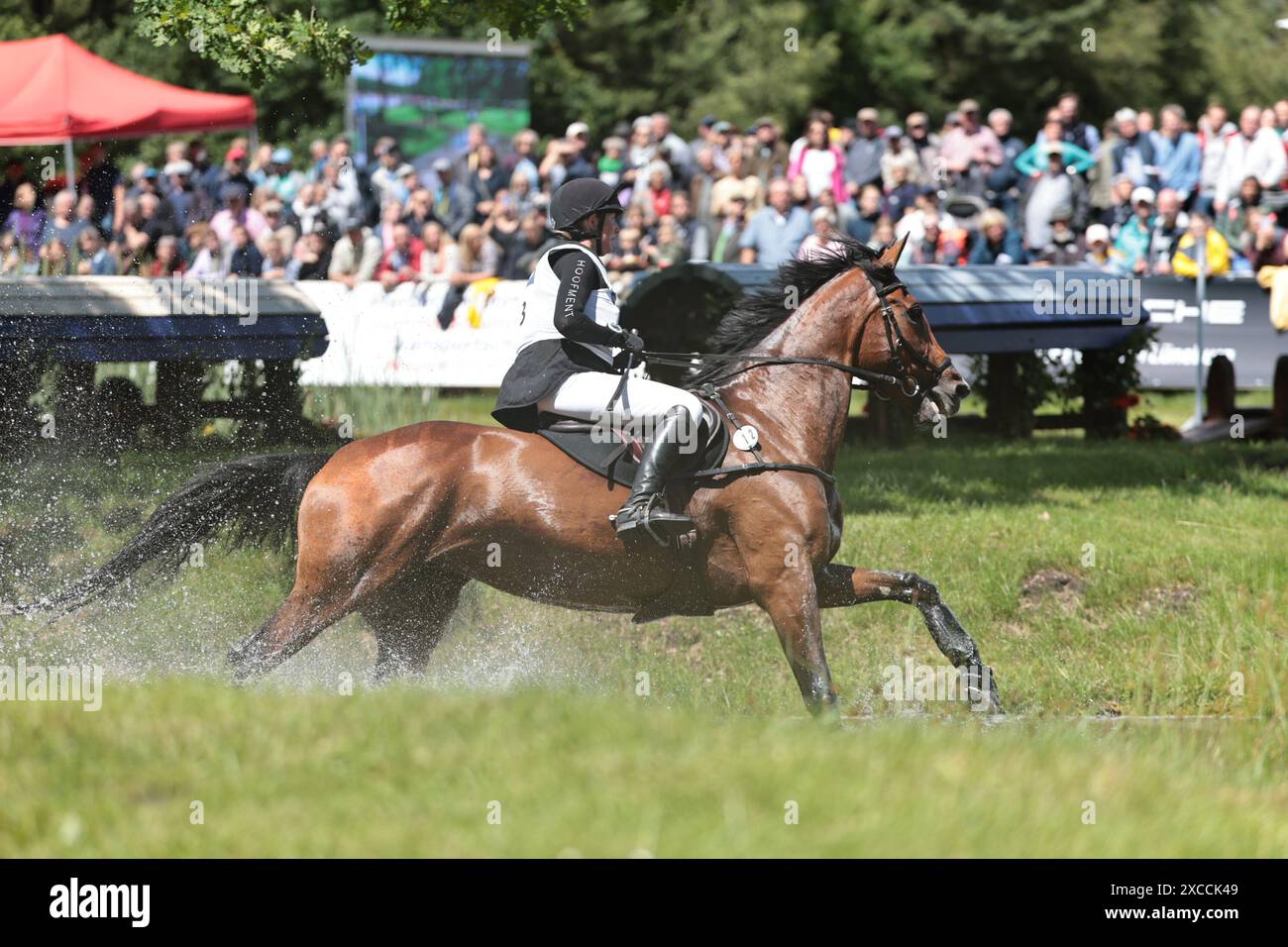 Luhmuhlen, Germany. 15th June 2024. Johanna Marloh of Germany with ...