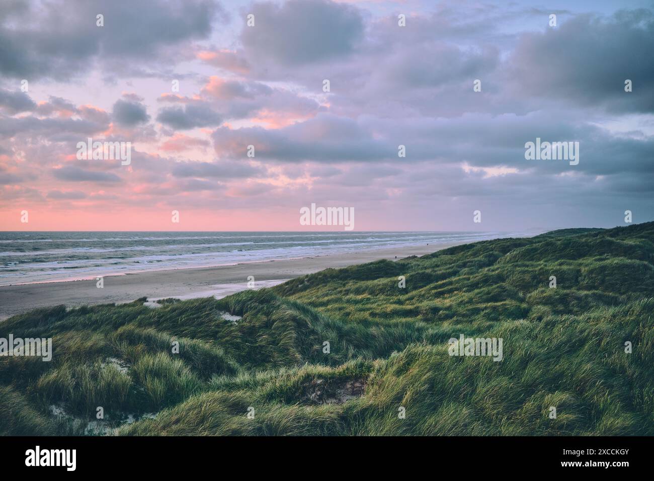 Saltum beach denmark hi-res stock photography and images - Alamy