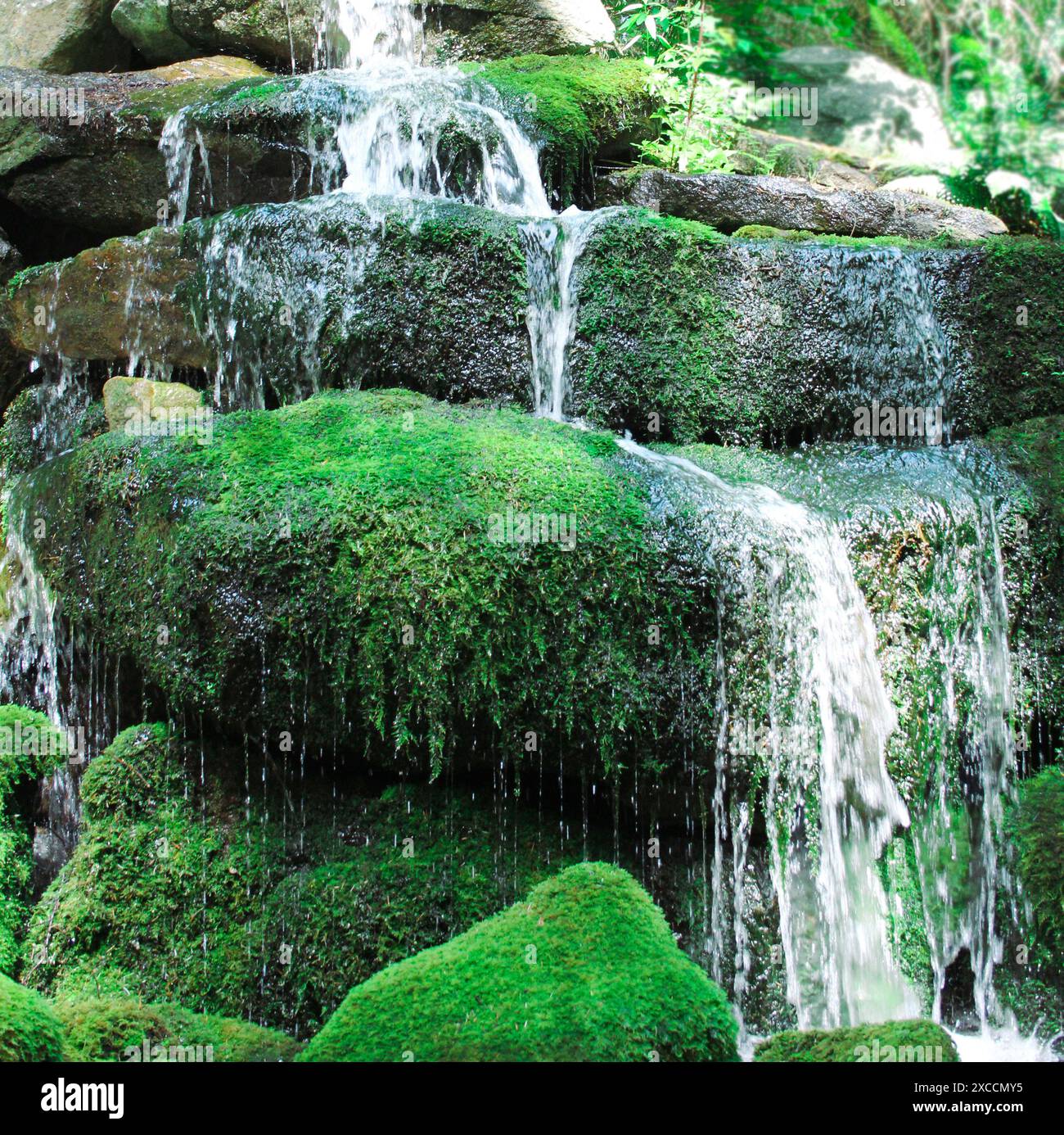 Serene waterfall cascades over mossy hi-res stock photography and ...