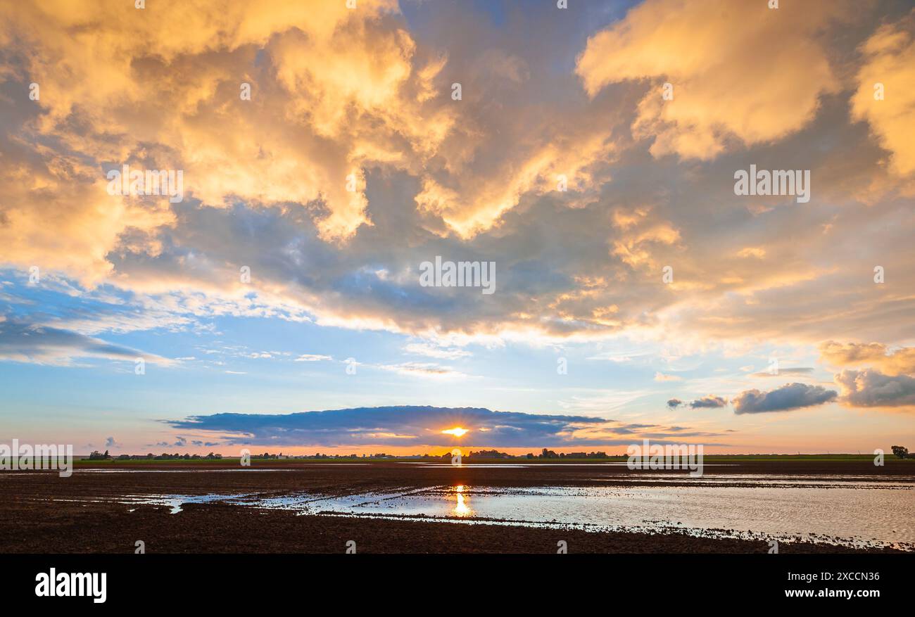 Beautiful yellow to orange colored clouds over large puddles in a ...