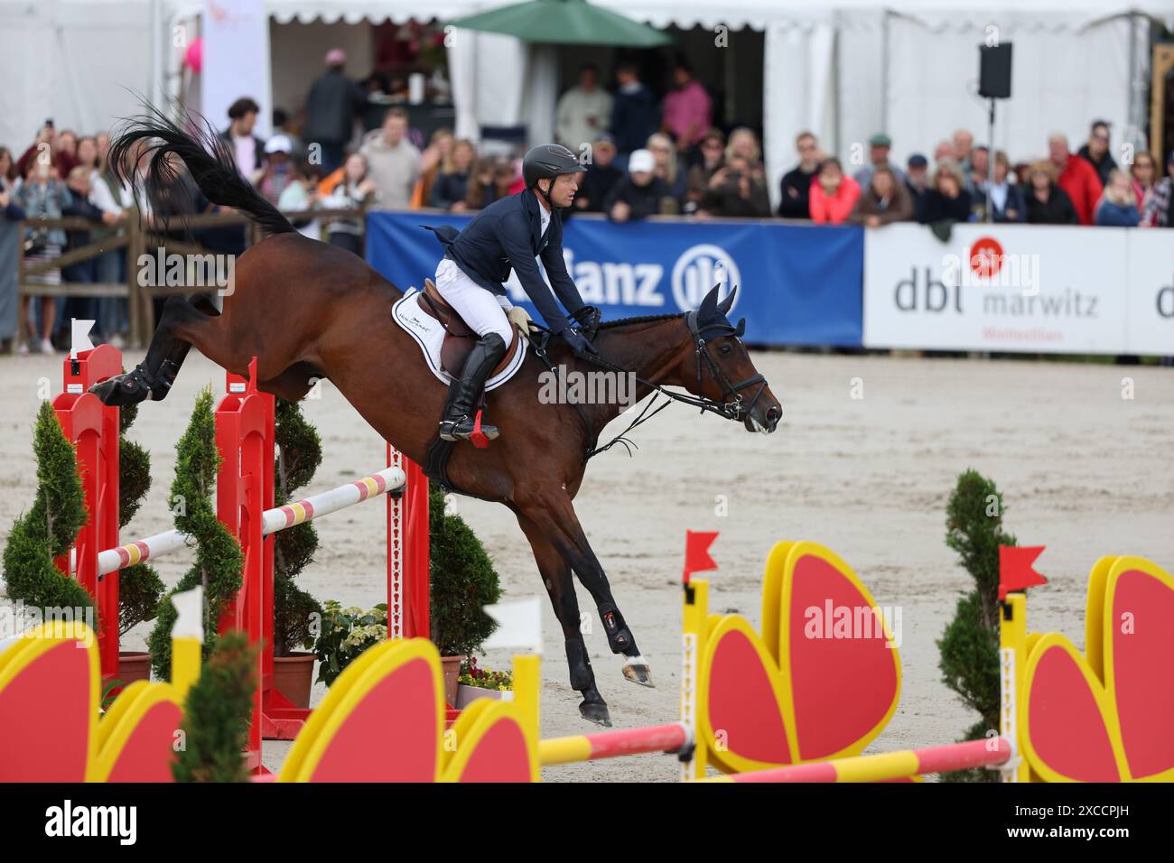 16 June 2024, Lower Saxony, Luhmühlen: Equestrian sport, German ...