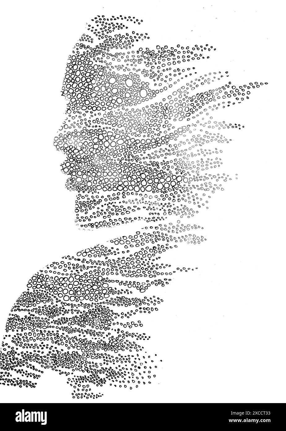 A graphical paintography profile portrait silhouette Stock Photo - Alamy