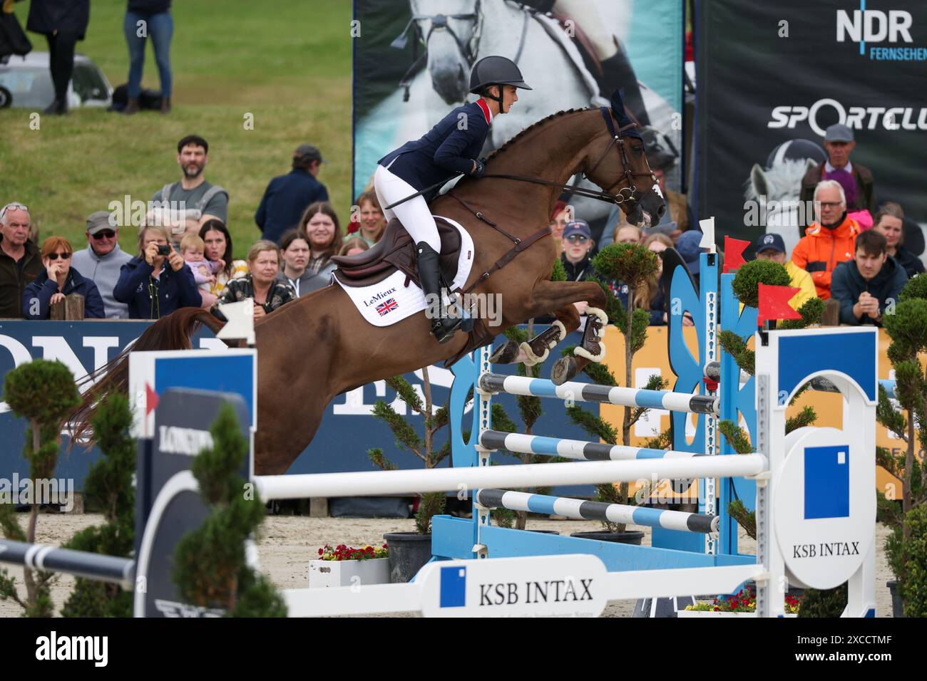16 June 2024, Lower Saxony, Luhmühlen: Equestrian sport, German ...