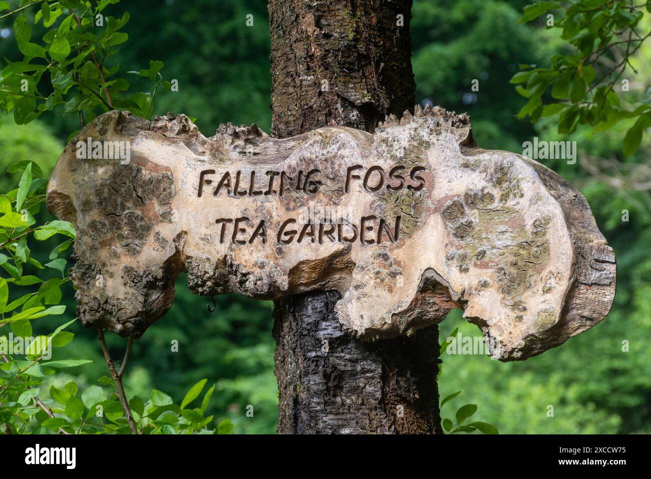 Falling Foss waterfall in the North York Moors National Park, North ...