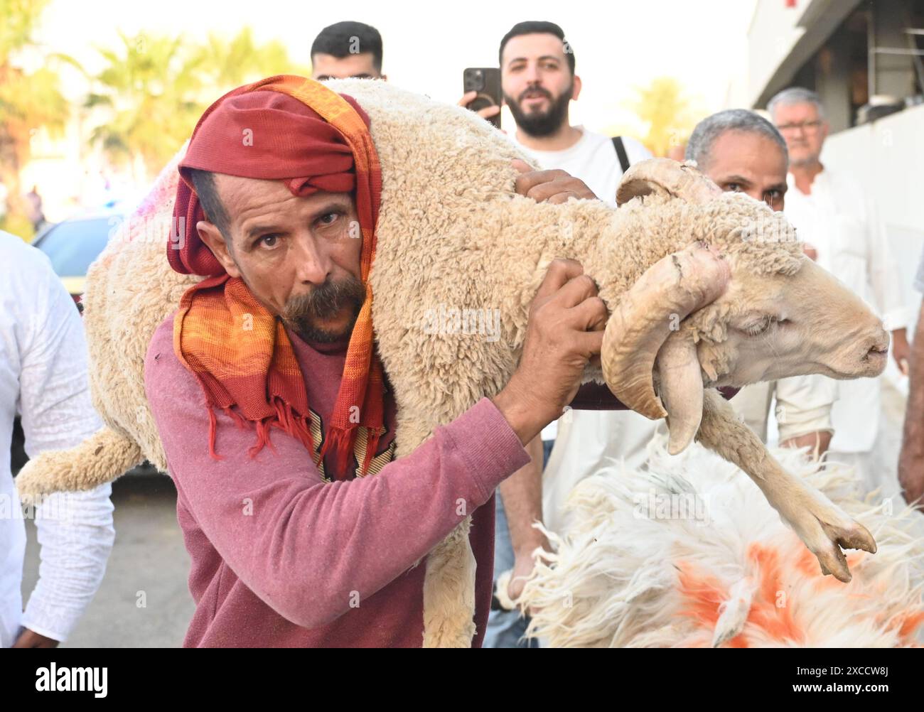 Capital Governorate, Kuwait. 16th June, 2024. A man carries a sheep ...
