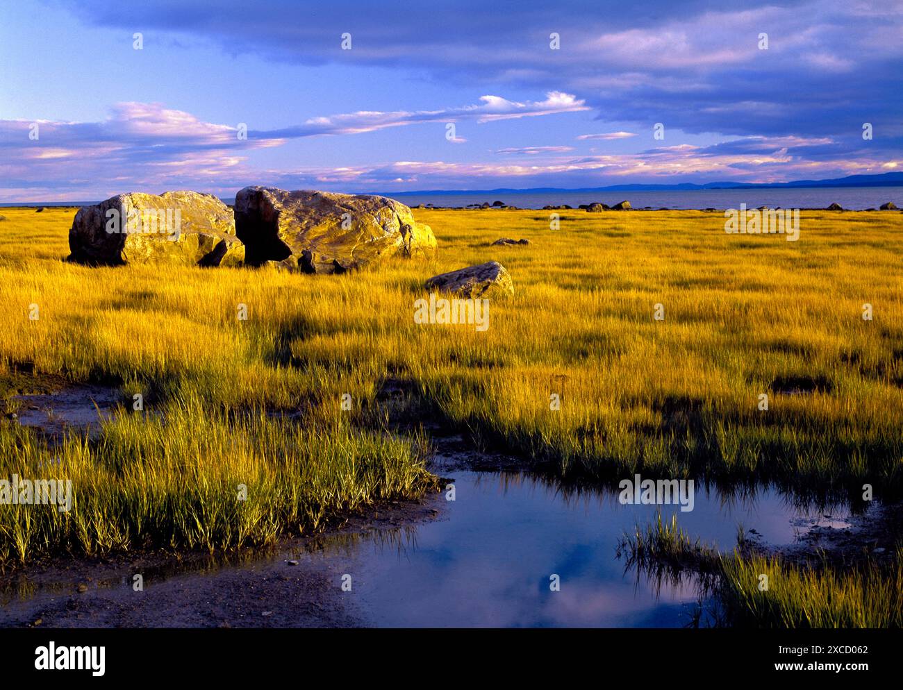 Stt. Lawrence River and salt marsh at Parc des Greves, Bas St-Laurent ...