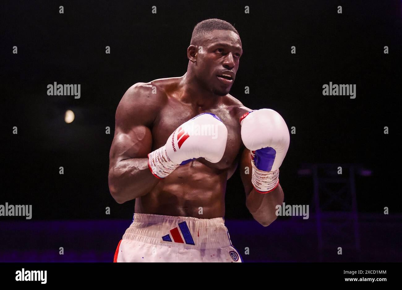 Richard Riakporhe in the WBO World Cruiserweight bout at Selhurst Park ...