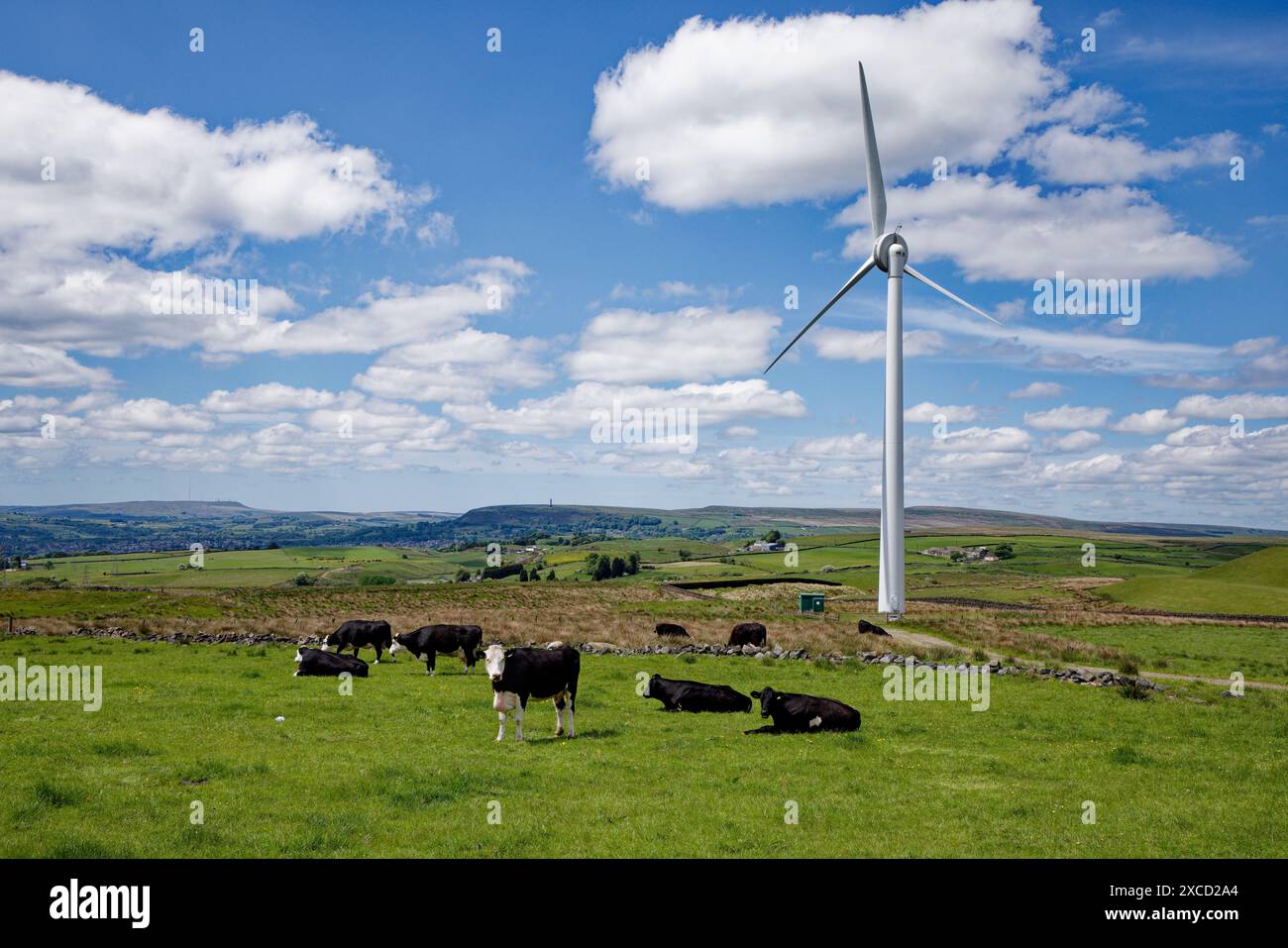 Wind turbine uk cows hi-res stock photography and images - Alamy