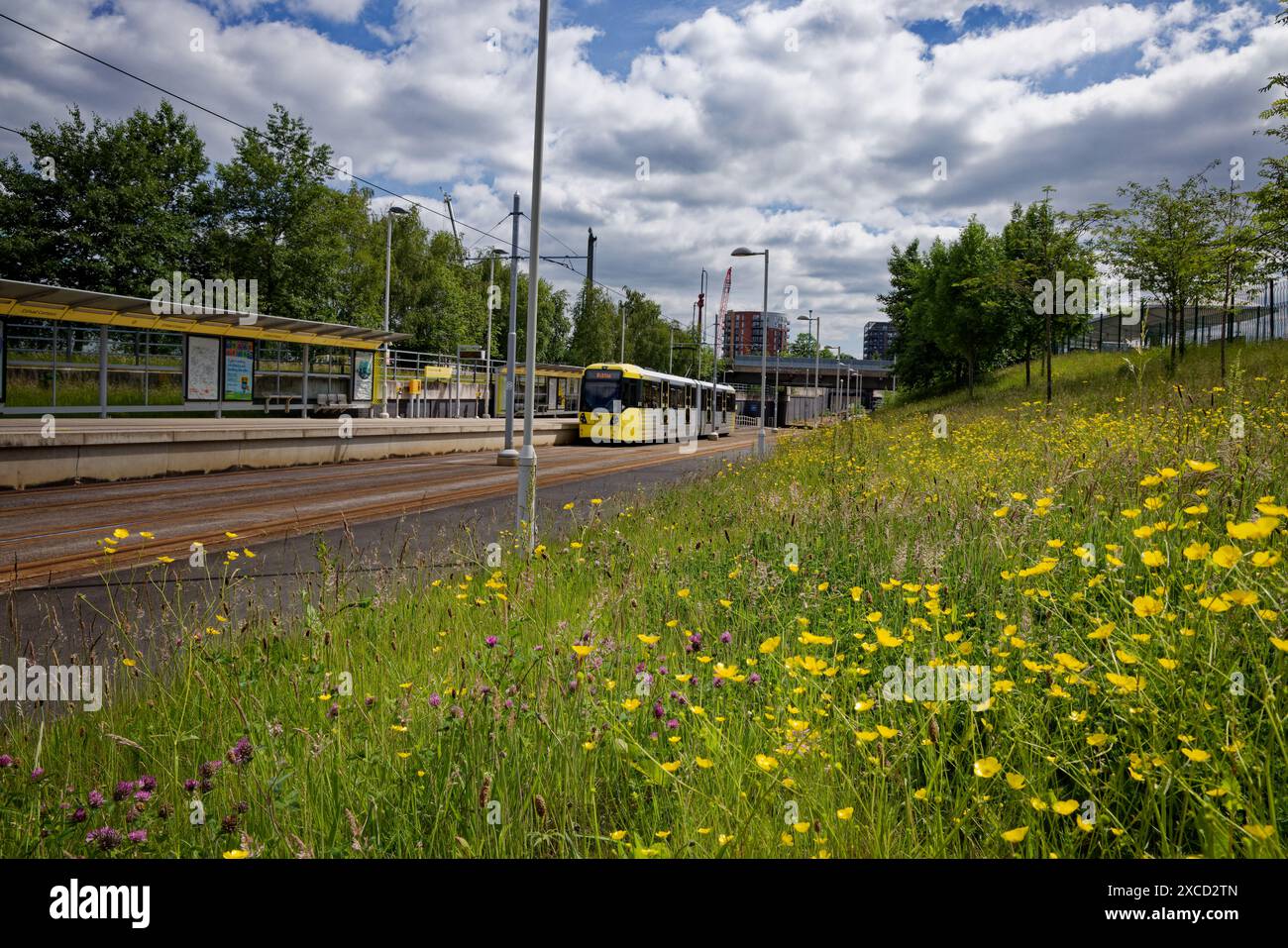 Manchester Tram approaches Sport City Tram Stop Stock Photo - Alamy