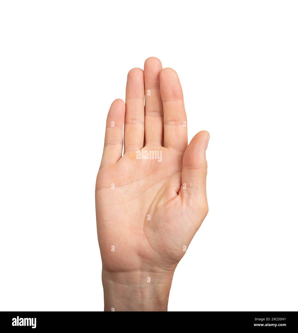 Palm hi, hand gesture, sign isolated on white background Stock Photo ...