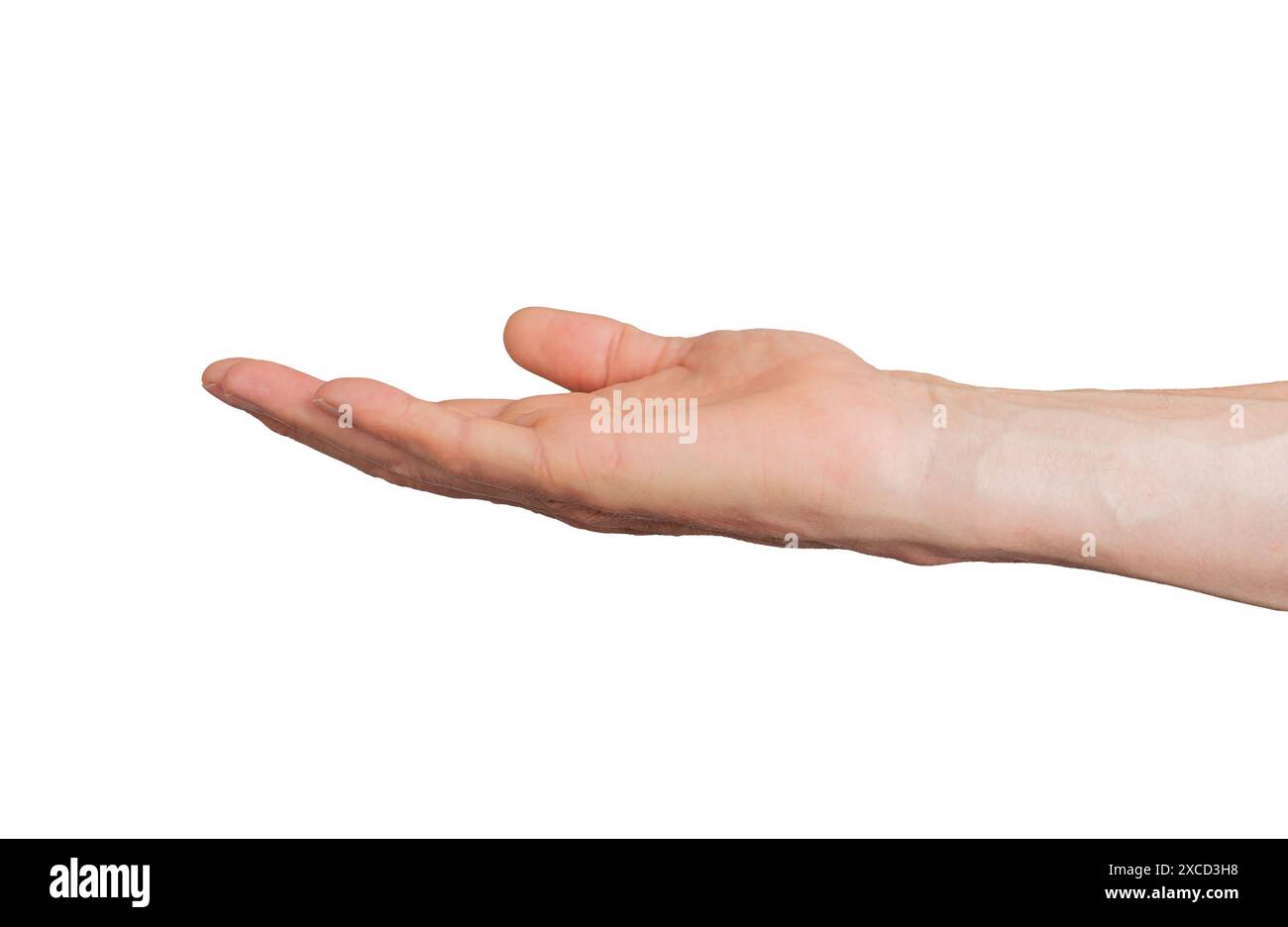 empty palm, hand gesture, sign isolated on white background Stock Photo ...