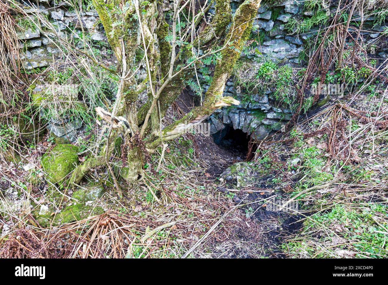 Flue for Roman lead workings, the Mineries, Somerset, Mendip, UK Stock ...