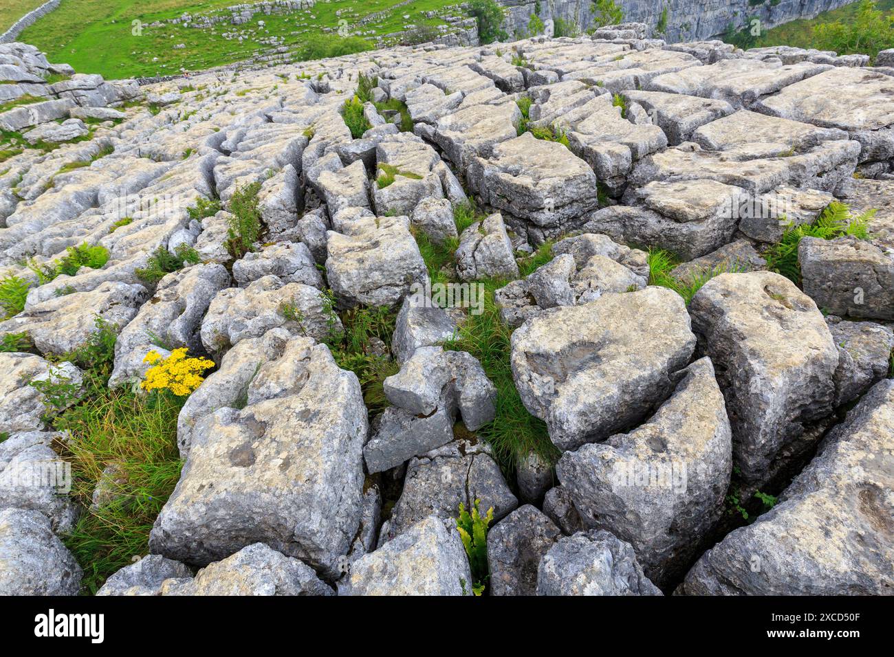 Clints and grykes on the limestone pavement at Malham Cove, Yorkshire ...