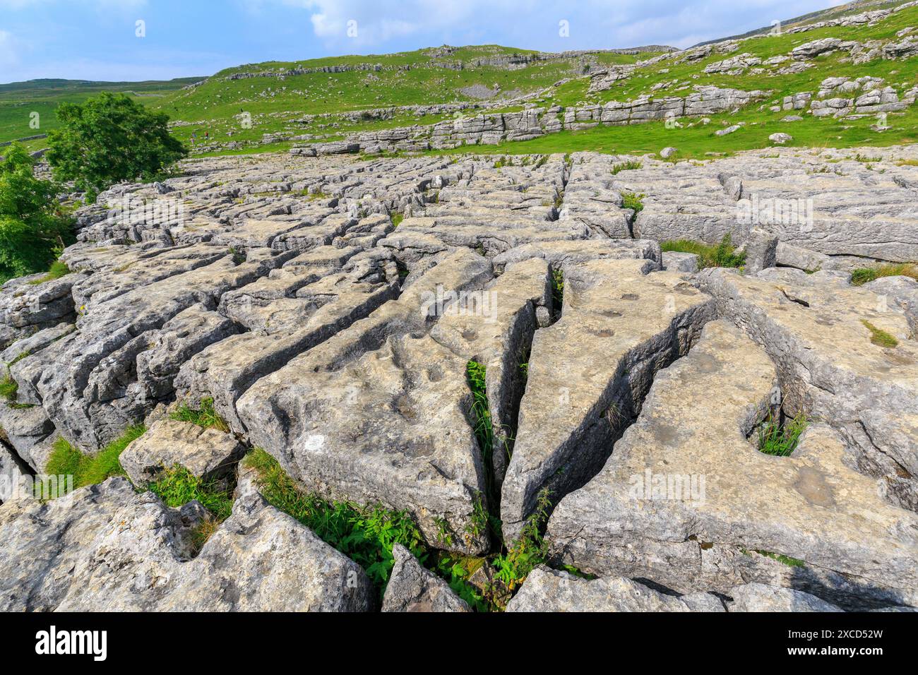 Clints and grykes on the limestone pavement at Malham Cove, Yorkshire ...