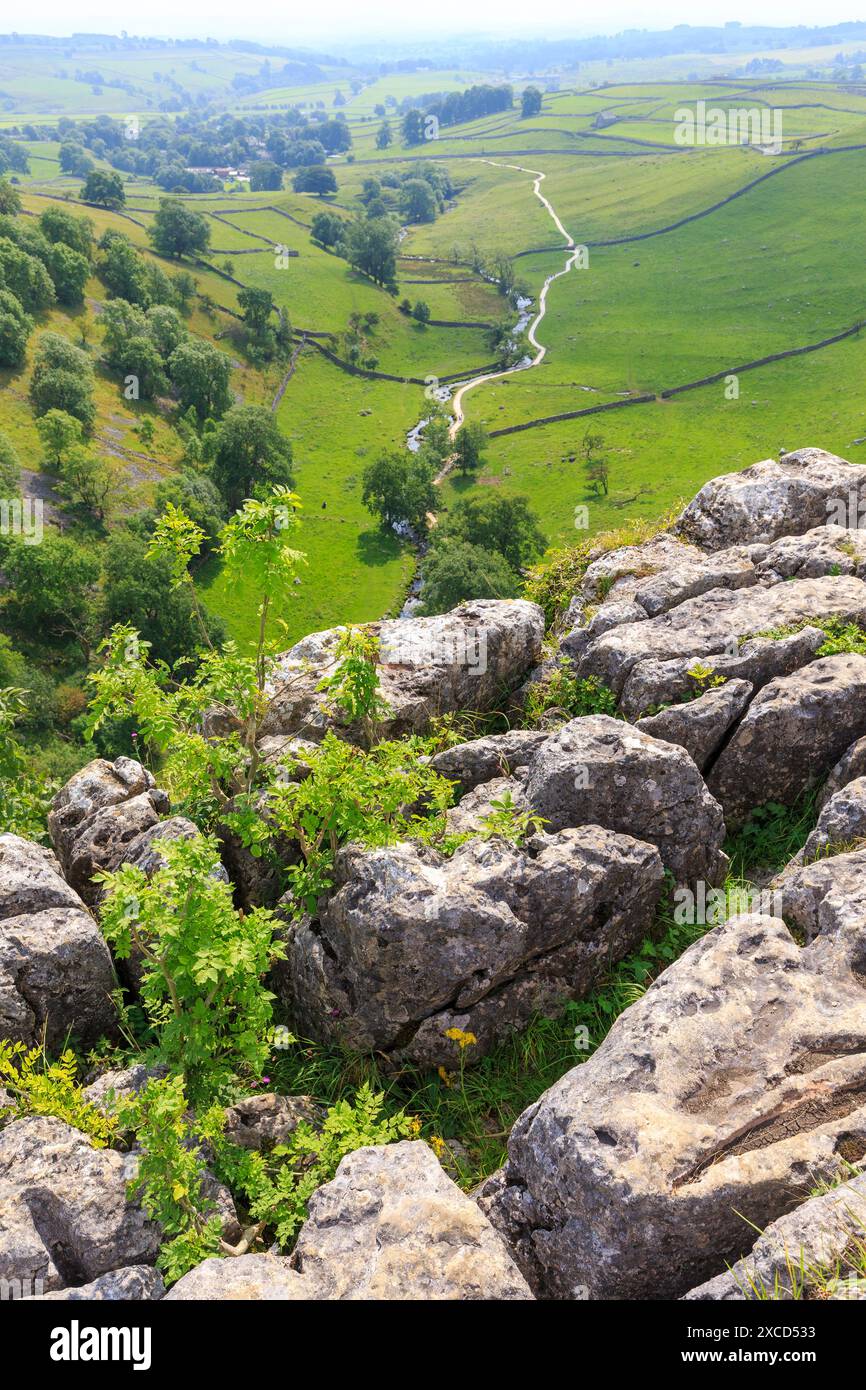 Clints and grykes on the limestone pavement at Malham Cove, Yorkshire ...