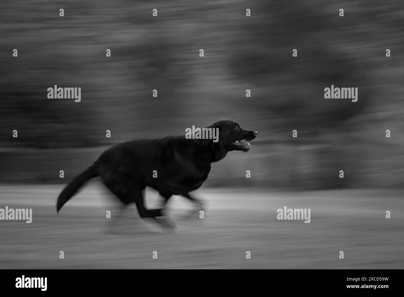 Slow shutter speed Black and White Stock Photos & Images - Alamy