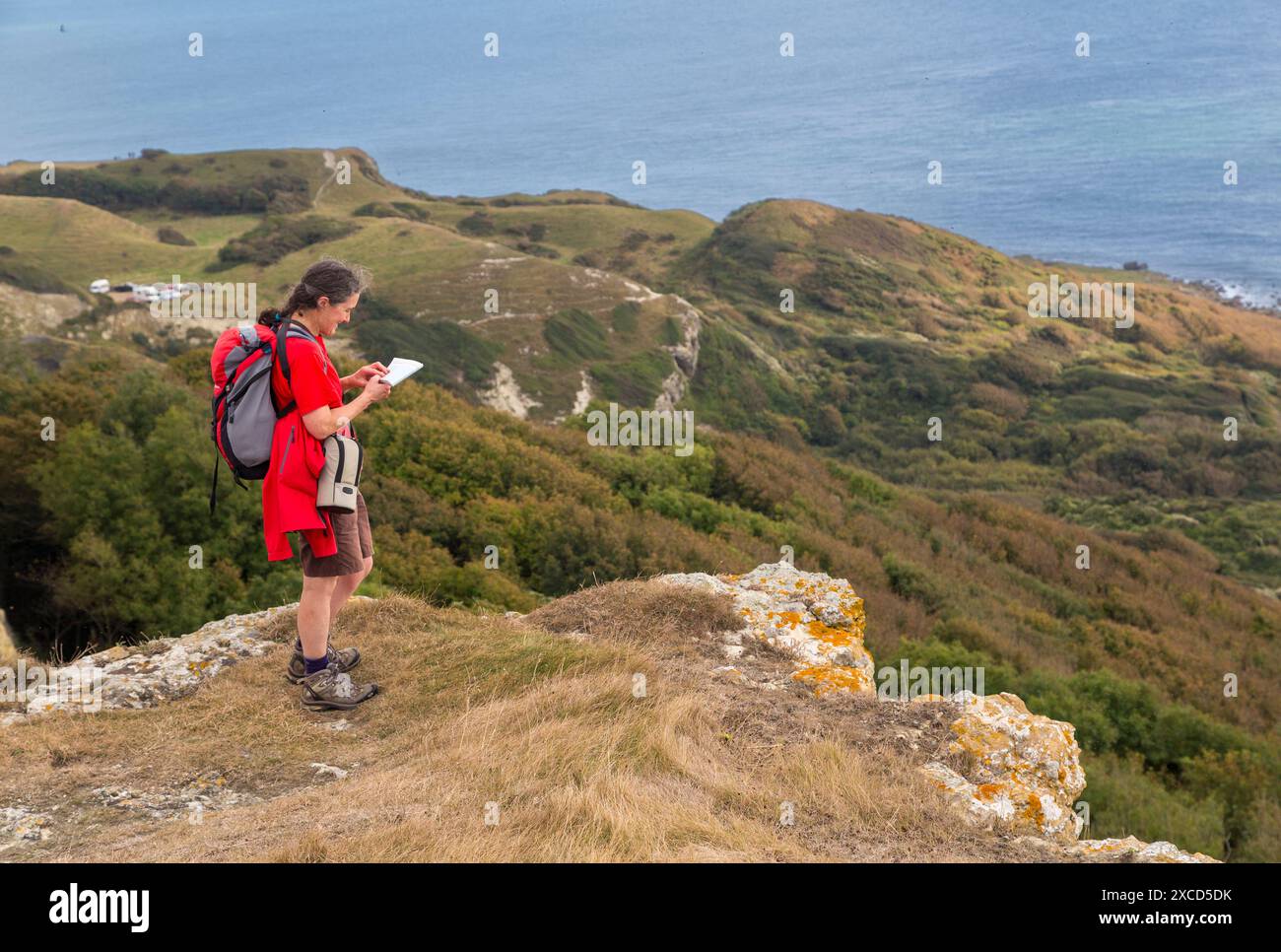 Walker reading a map on the cliffs at St Catherine's Down, Isle of ...
