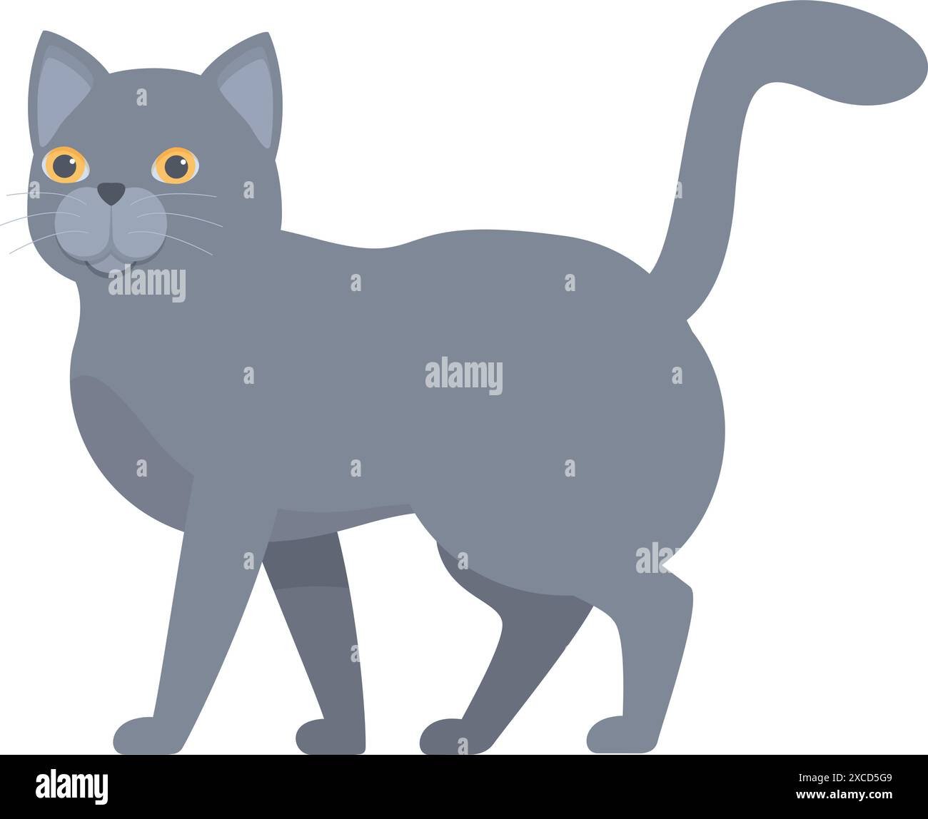 Grey cat walking with tail up in cartoon style illustration Stock ...