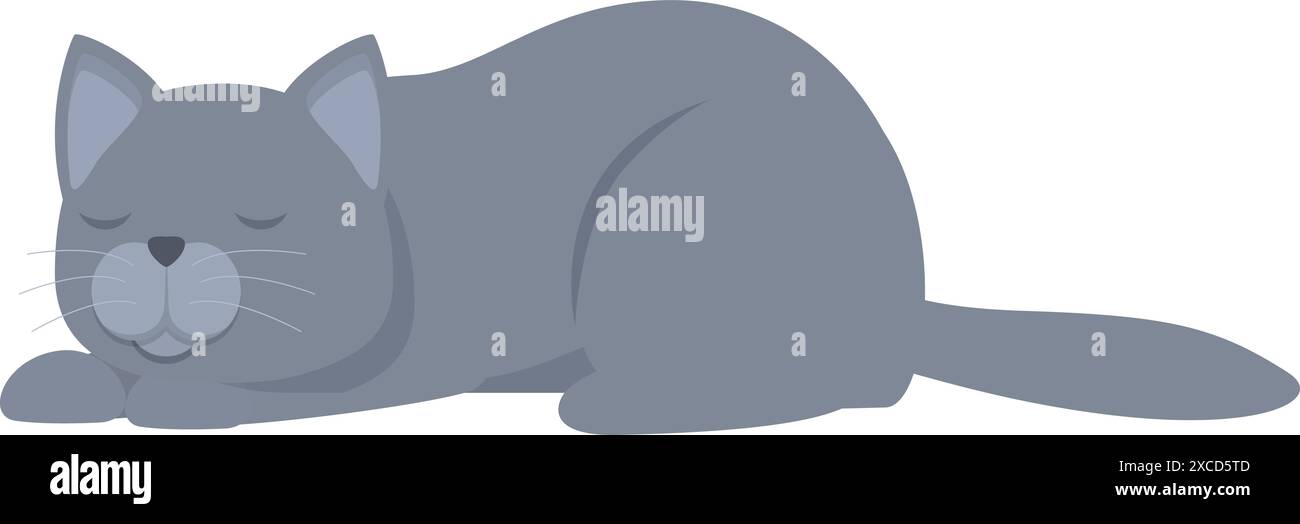 Grey cat sleeping peacefully on the floor, isolated on a white ...