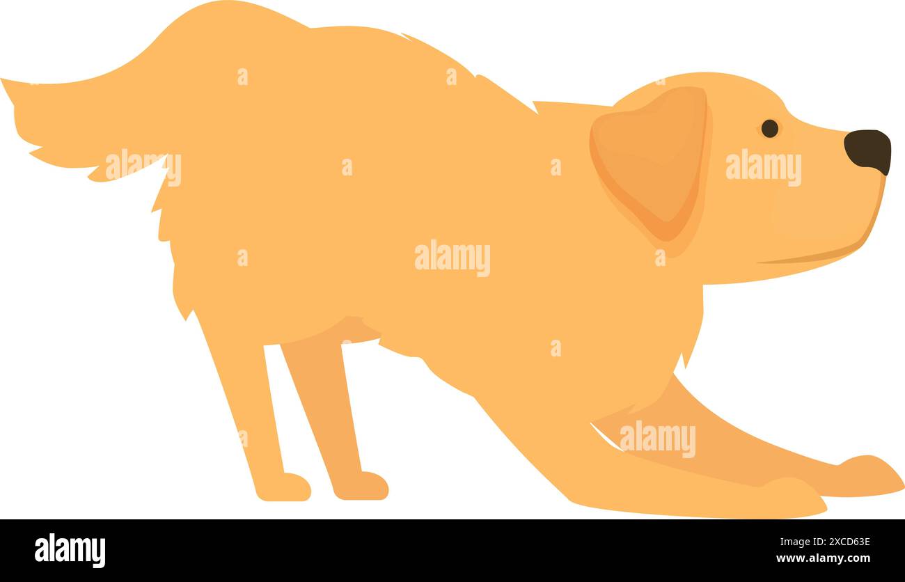 Cute golden retriever dog is stretching its body, enjoying a moment of ...