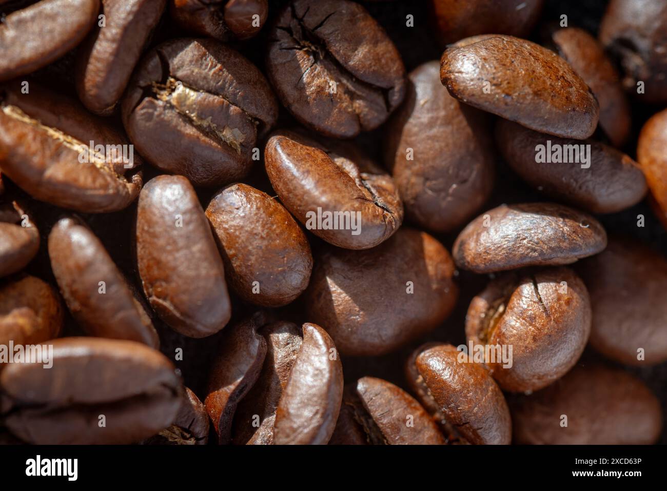 Bean seeds texture hi-res stock photography and images - Alamy