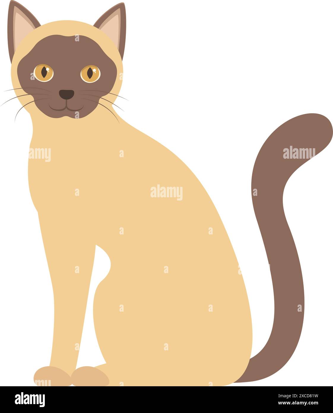 Illustration of a cute siamese cat sitting and looking forward hi-res ...