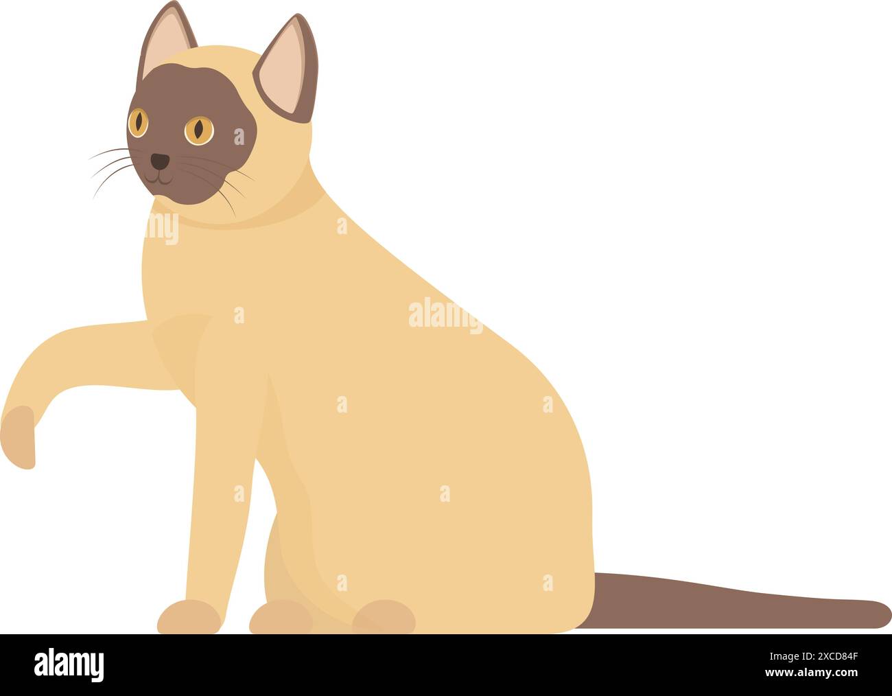 Cute siamese cat sitting and raising paw on white background Stock ...