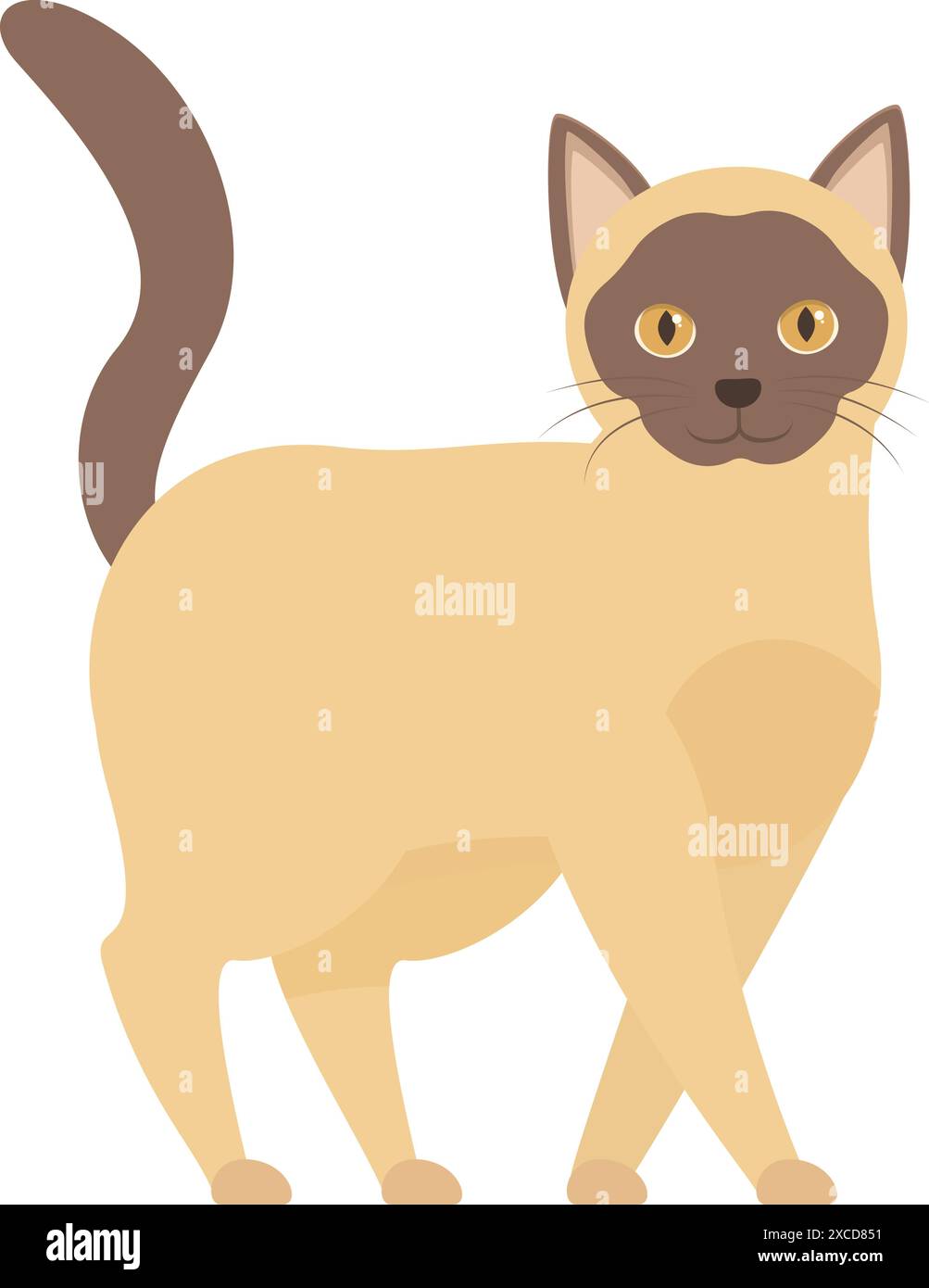 High nose cat Cut Out Stock Images & Pictures - Alamy