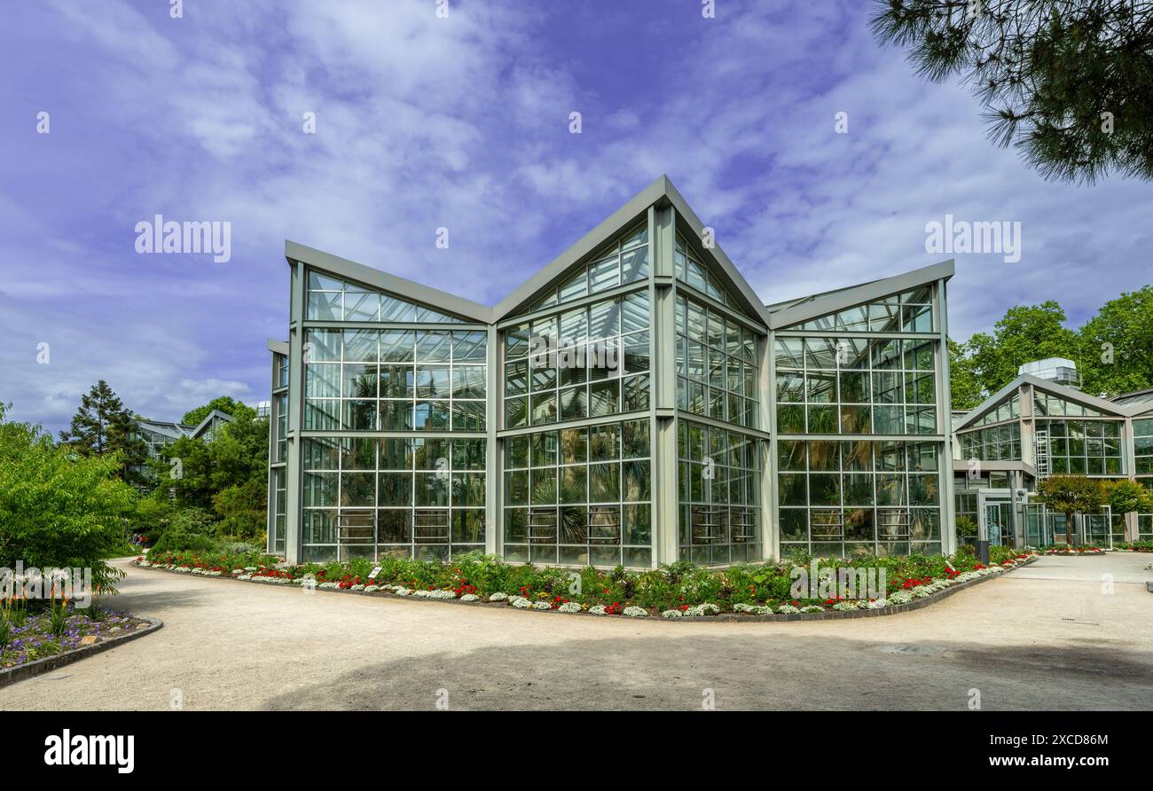 Greenhouse palmengarten palm garden frankfurt hi-res stock photography and images - Alamy