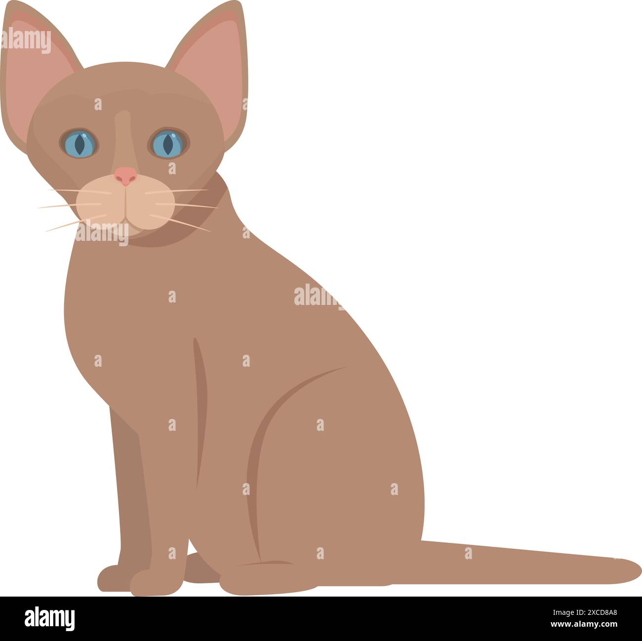 Illustration of a brown cat sitting with its tail out behind it Stock ...