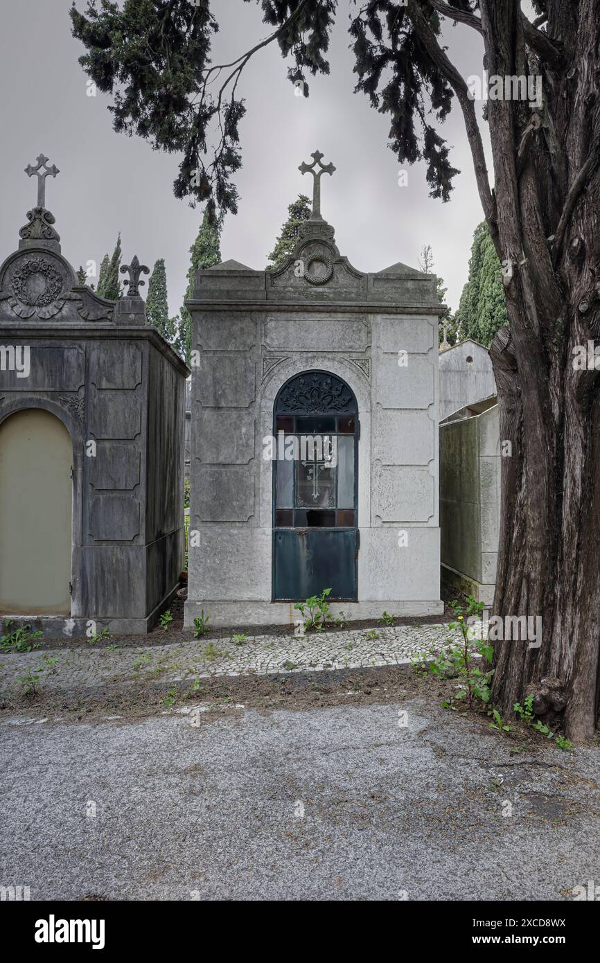 Mysterious old historic european cemetery Stock Photo - Alamy
