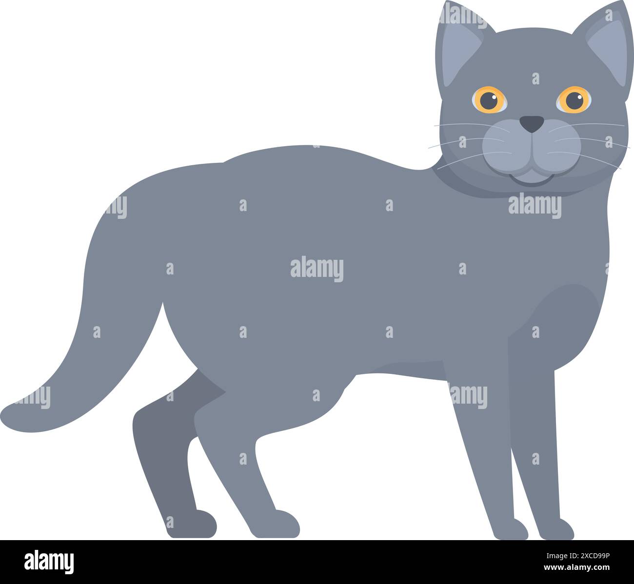 Cartoon illustration of a grey chartreux cat standing on all fours ...