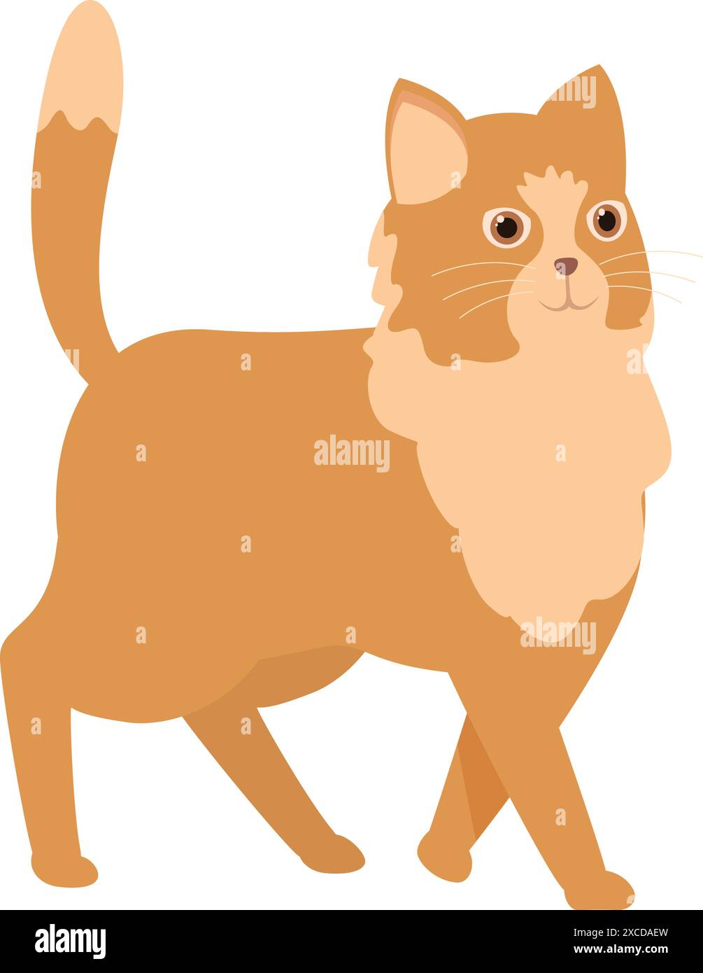 Curious white ginger cat Stock Vector Images - Alamy