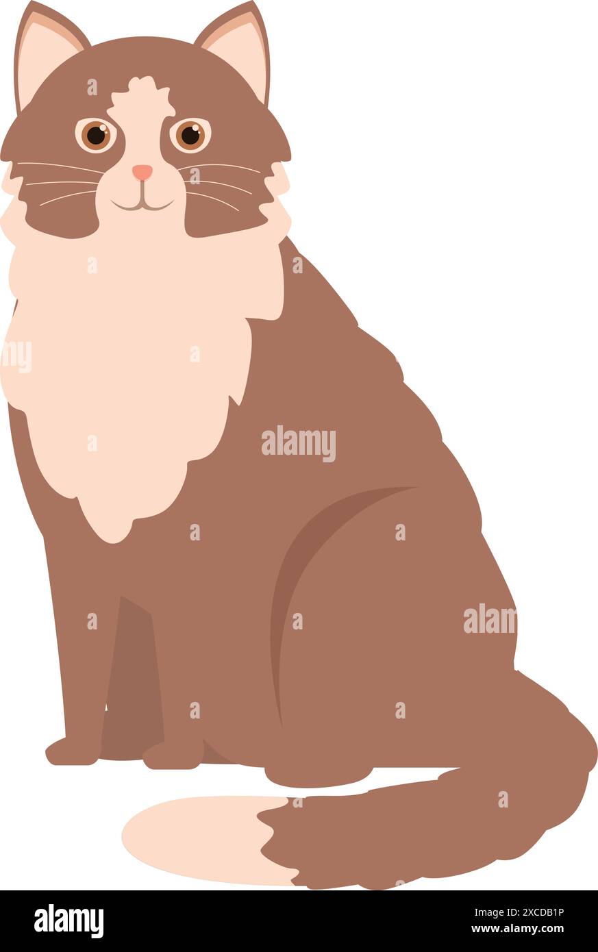 Brown and white furry cat is sitting calmly with its tail curled around ...