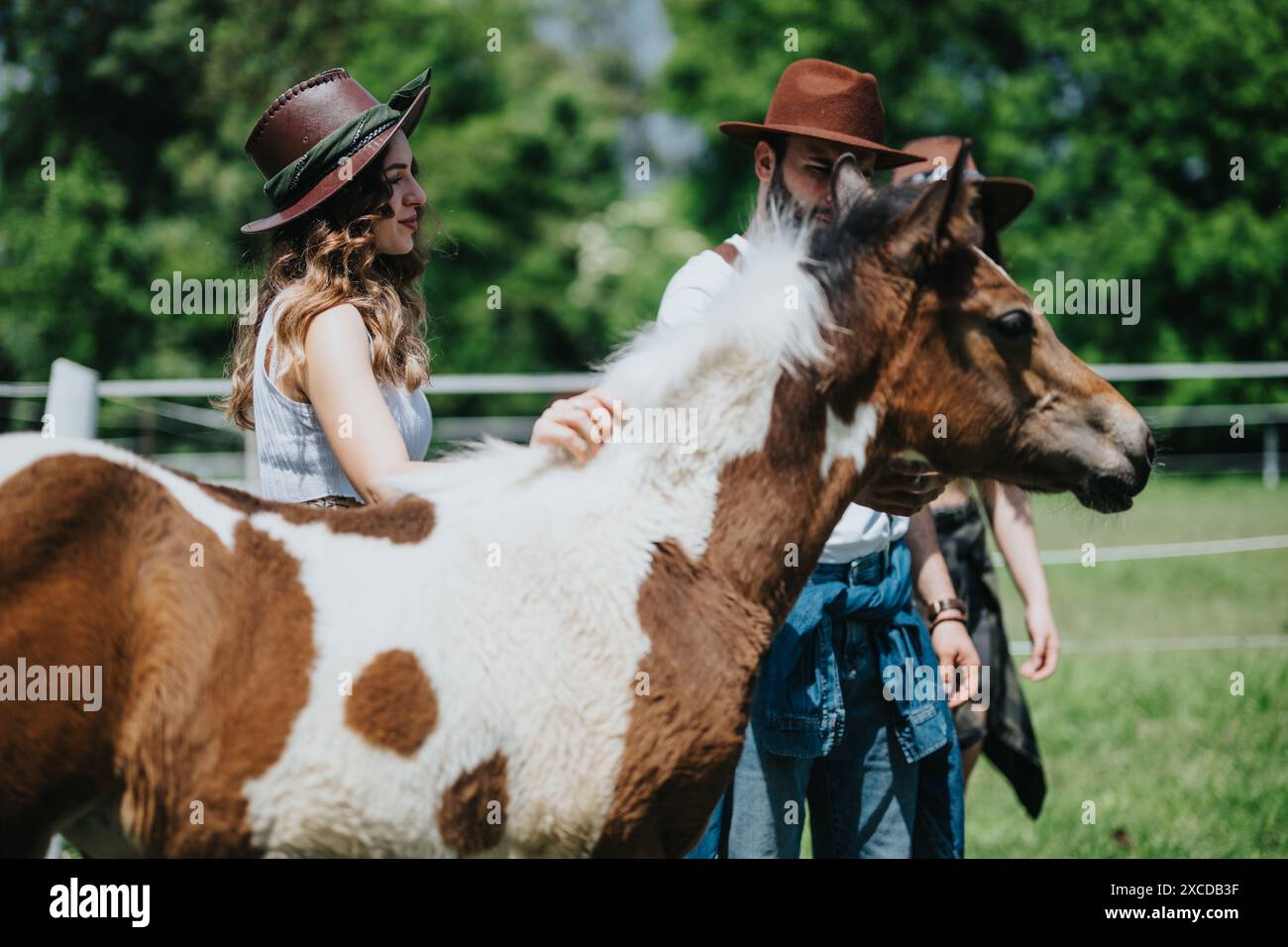 Friends having fun at the ranch with a beautiful horse on a sunny day ...