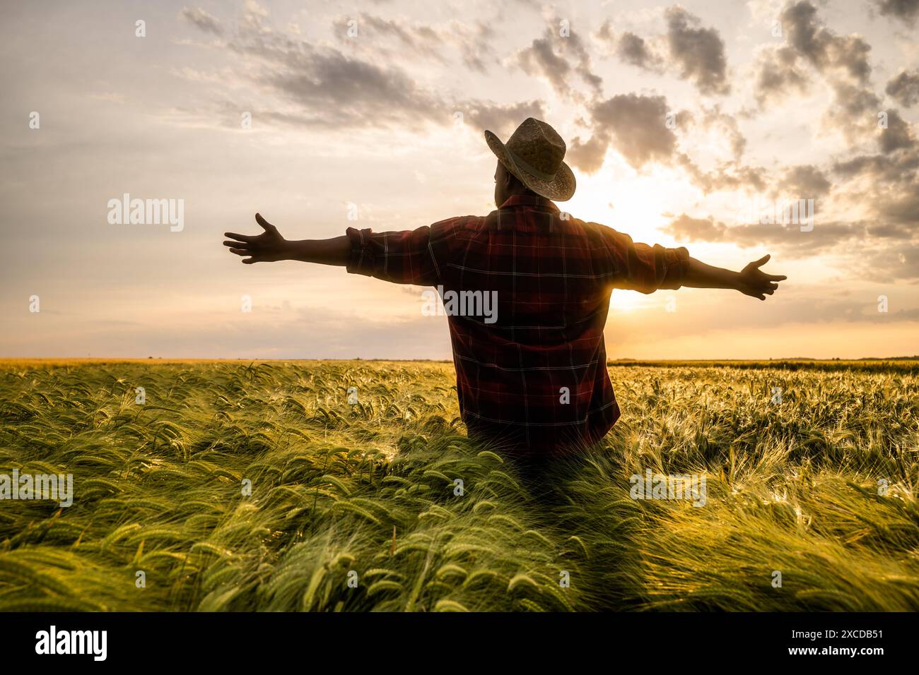 Silhouette of a happy farmer with arms outstretched standing in his ...