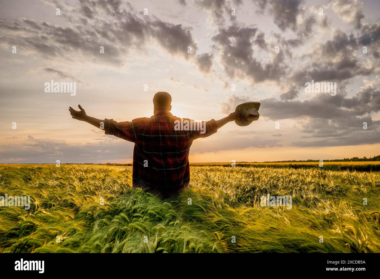 Silhouette of a happy farmer with arms outstretched standing in his ...