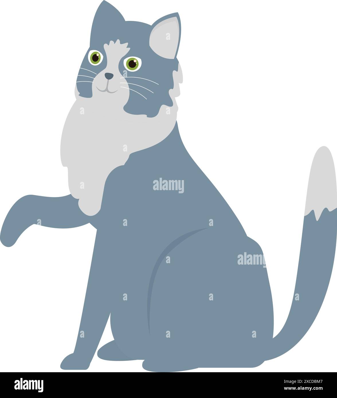 Blue tabby cat with white chest and tail tip raising paw in playful ...