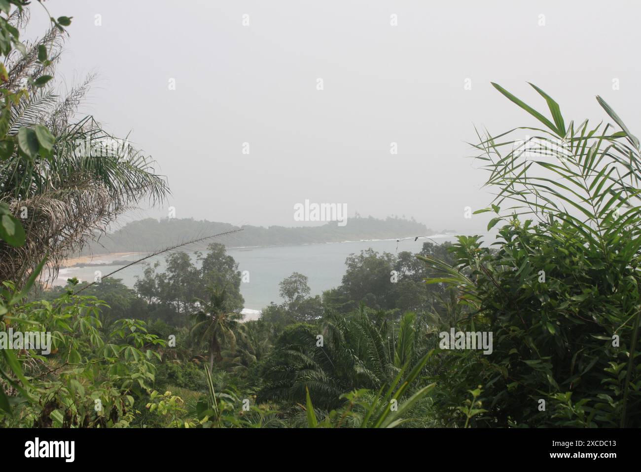 A stunning view of lush green hills and a pristine beach from a higher ...