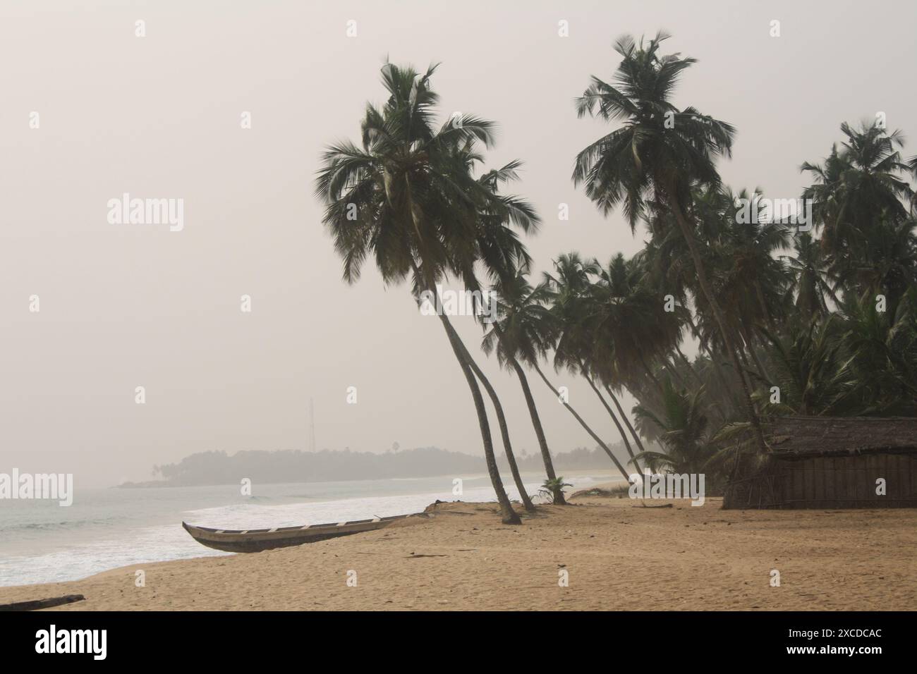 Beach huts nestled among palm trees along the Ghanaian coast. The calm ...