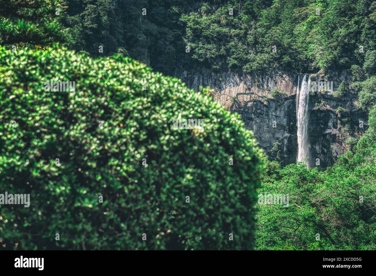 View with Nachi Waterfall located in Nachikatsuura, Wakayama, Japan ...