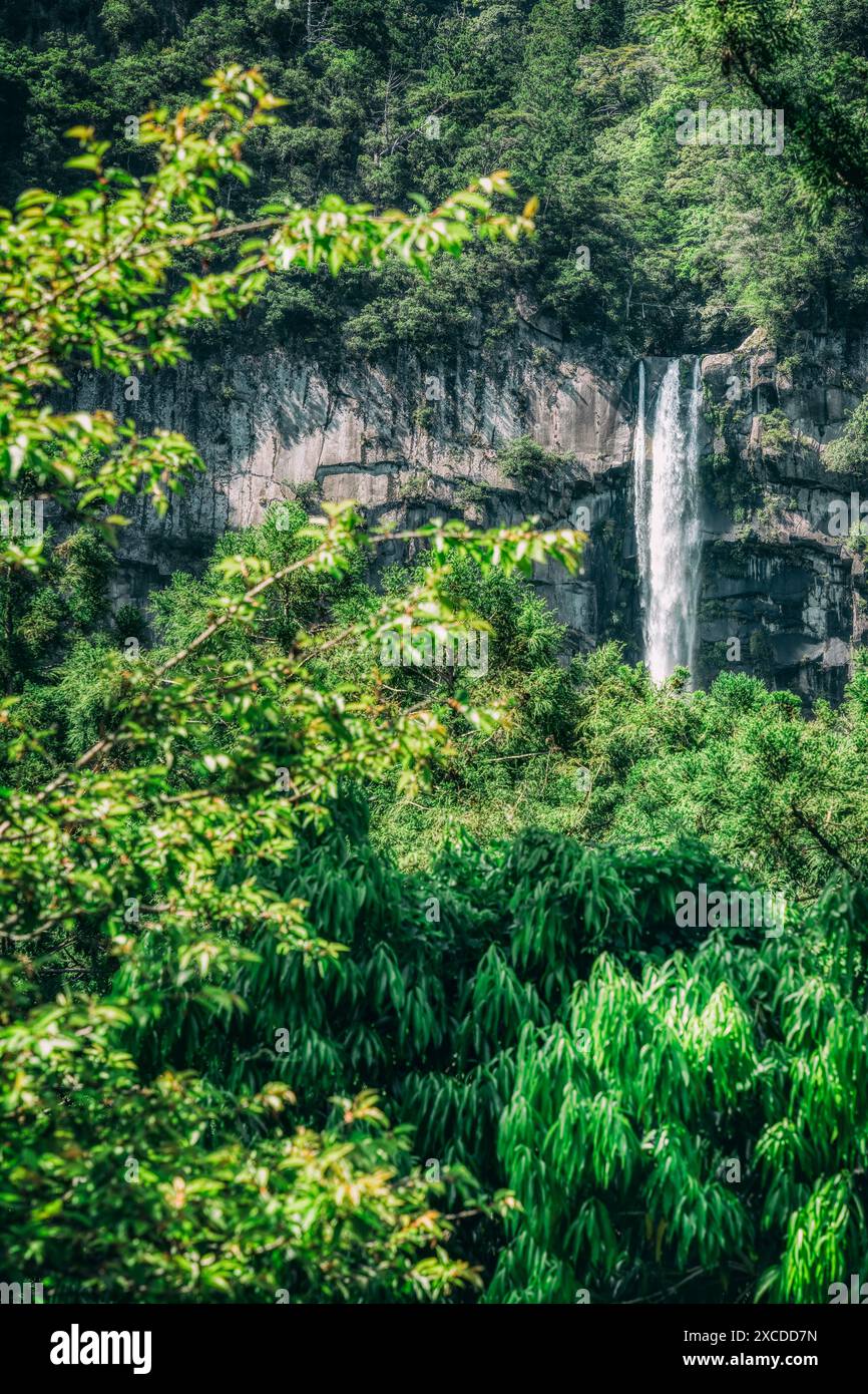 View with Nachi Waterfall located in Nachikatsuura, Wakayama, Japan ...