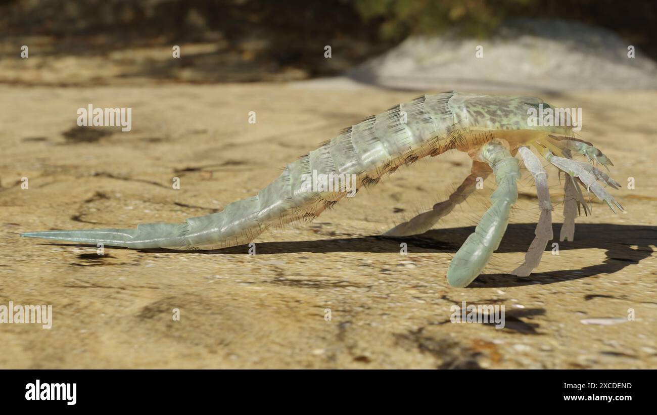 A 3D illustration of an extinct sea scorpion Eurypterus remipes on a ...