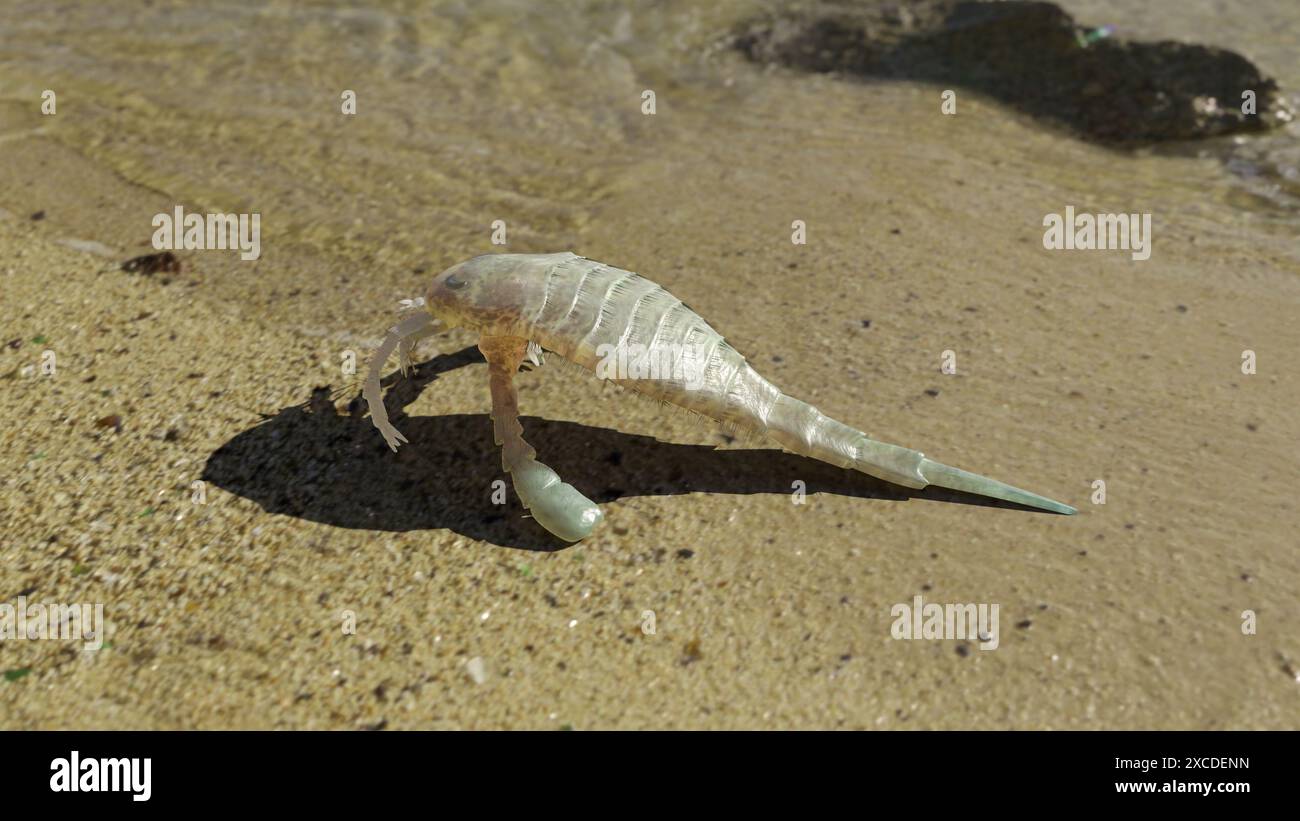 A 3D illustration of an extinct sea scorpion Eurypterus remipes on a ...