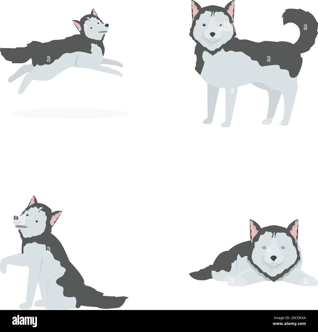 Collection of siberian husky cartoons in various playful poses on a ...