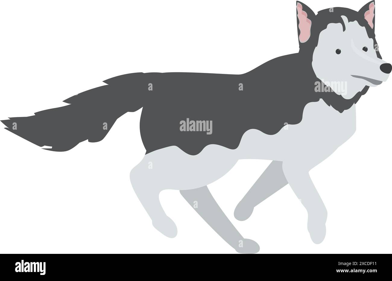 Dog portrait in show Stock Vector Images - Alamy