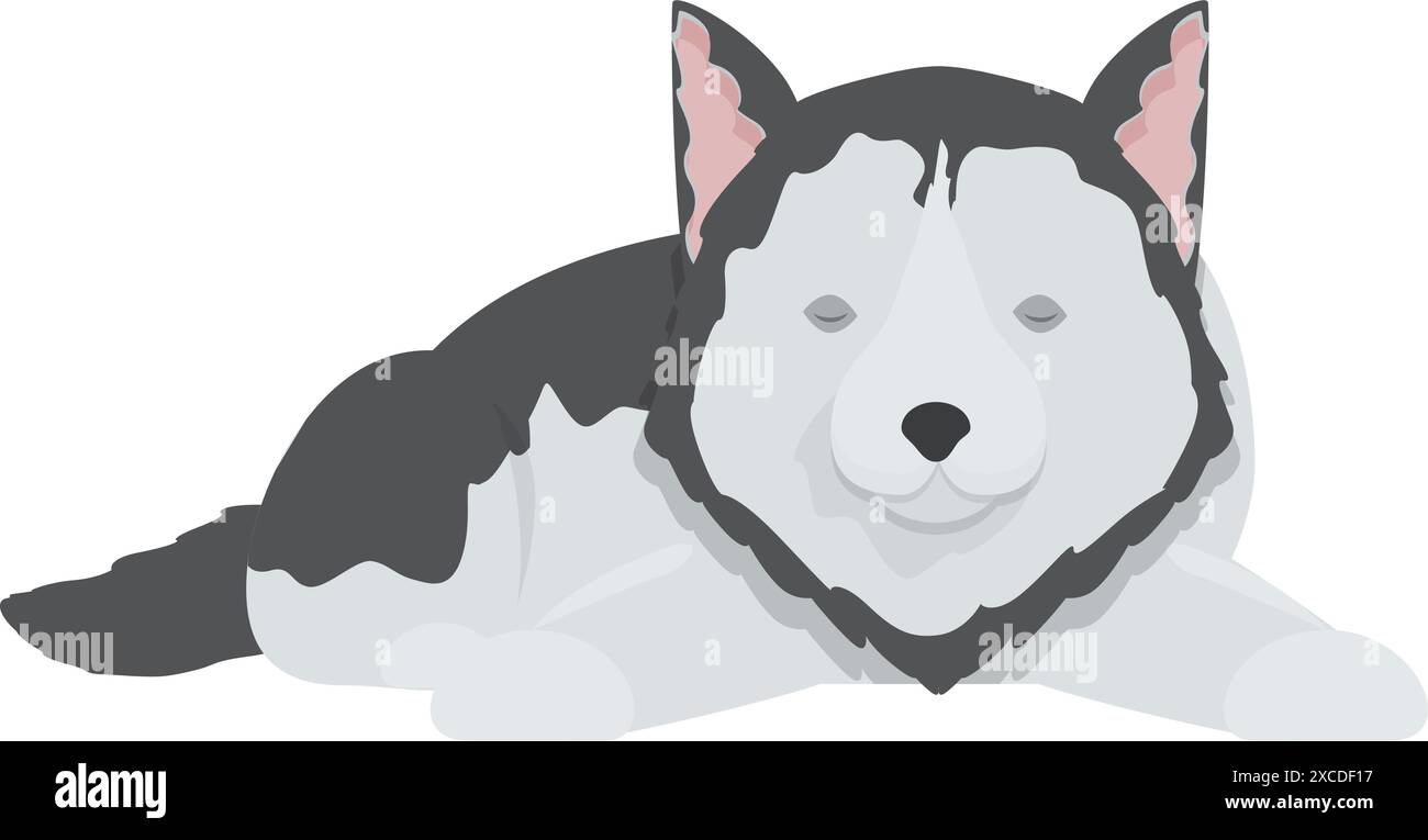 Husky portrait young dog Stock Vector Images - Alamy