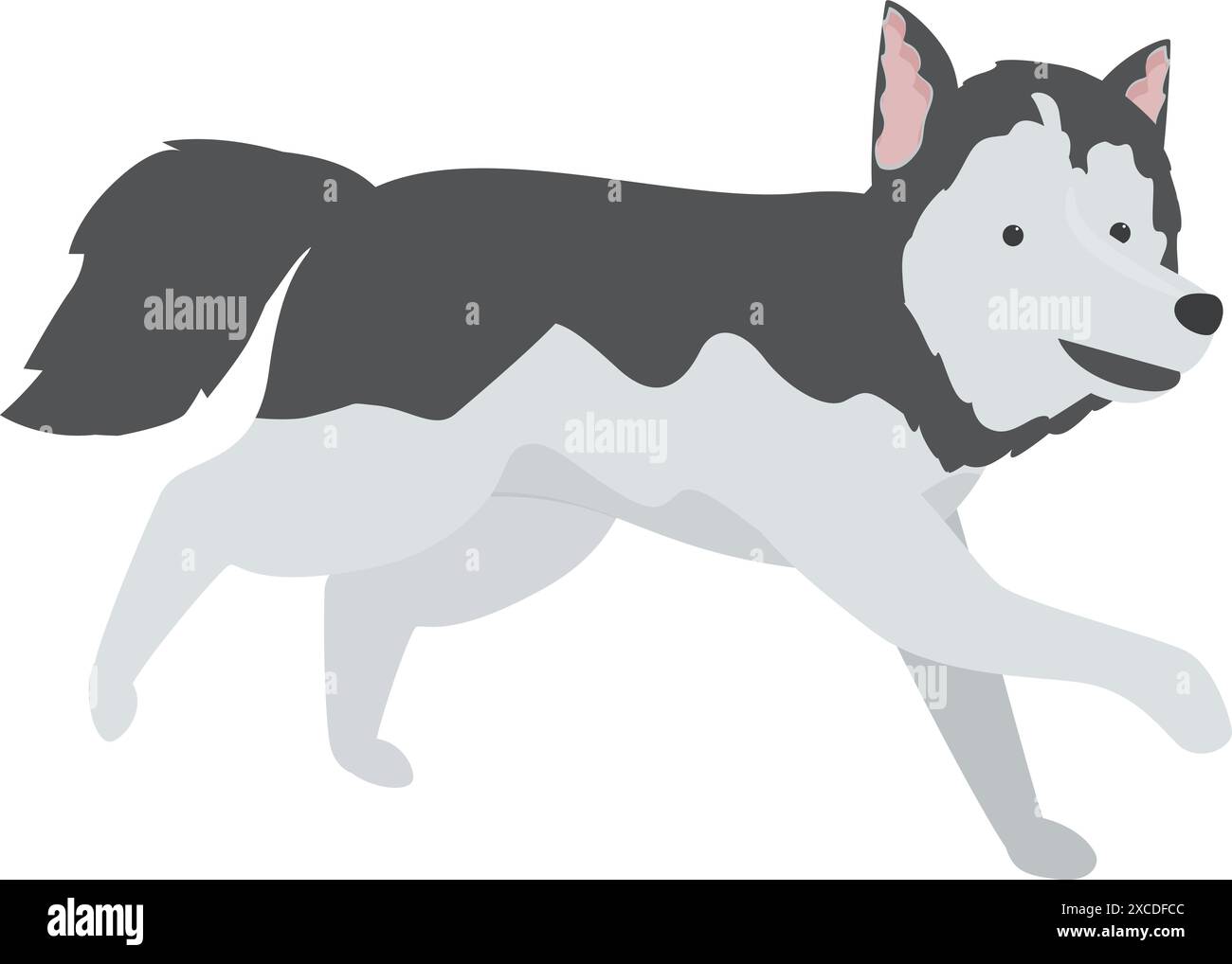 Siberian husky isolated tail Stock Vector Images - Alamy