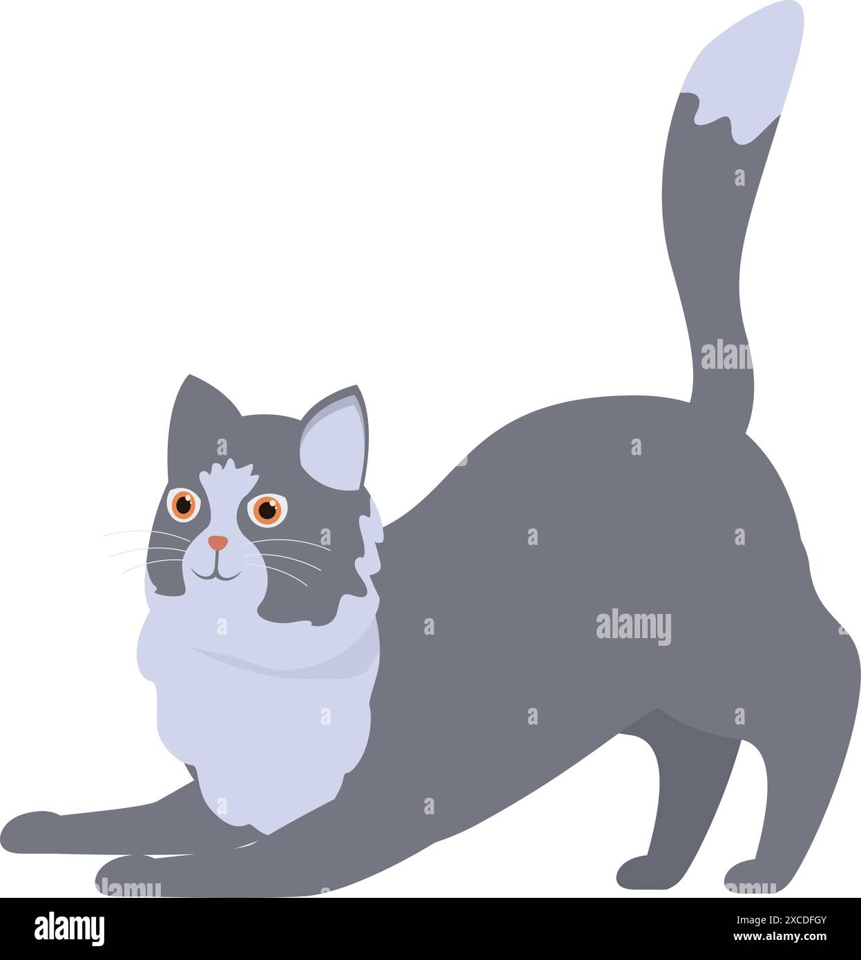 Gray And White Cat Is Arching Its Back And Getting Ready To Play Stock